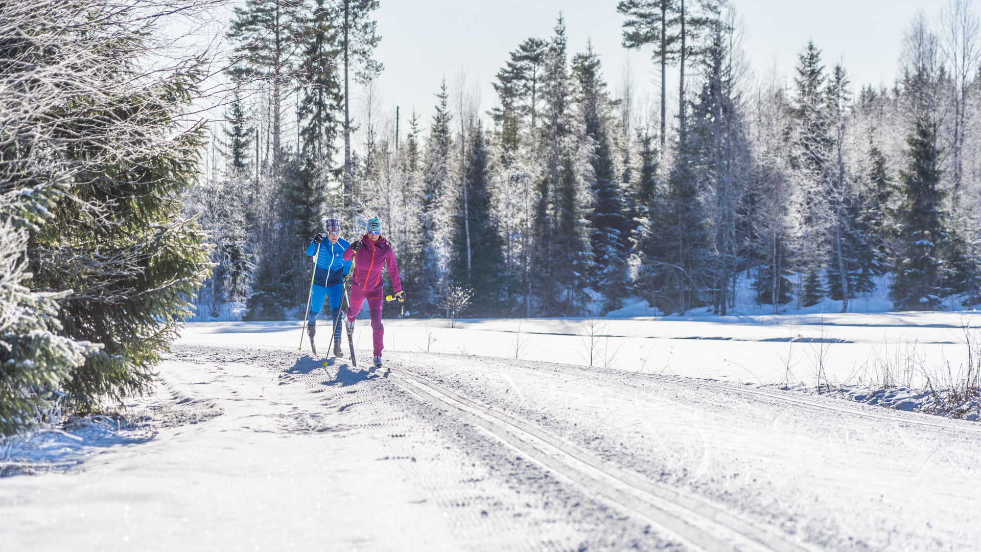 Aktiviteetit | Tahko