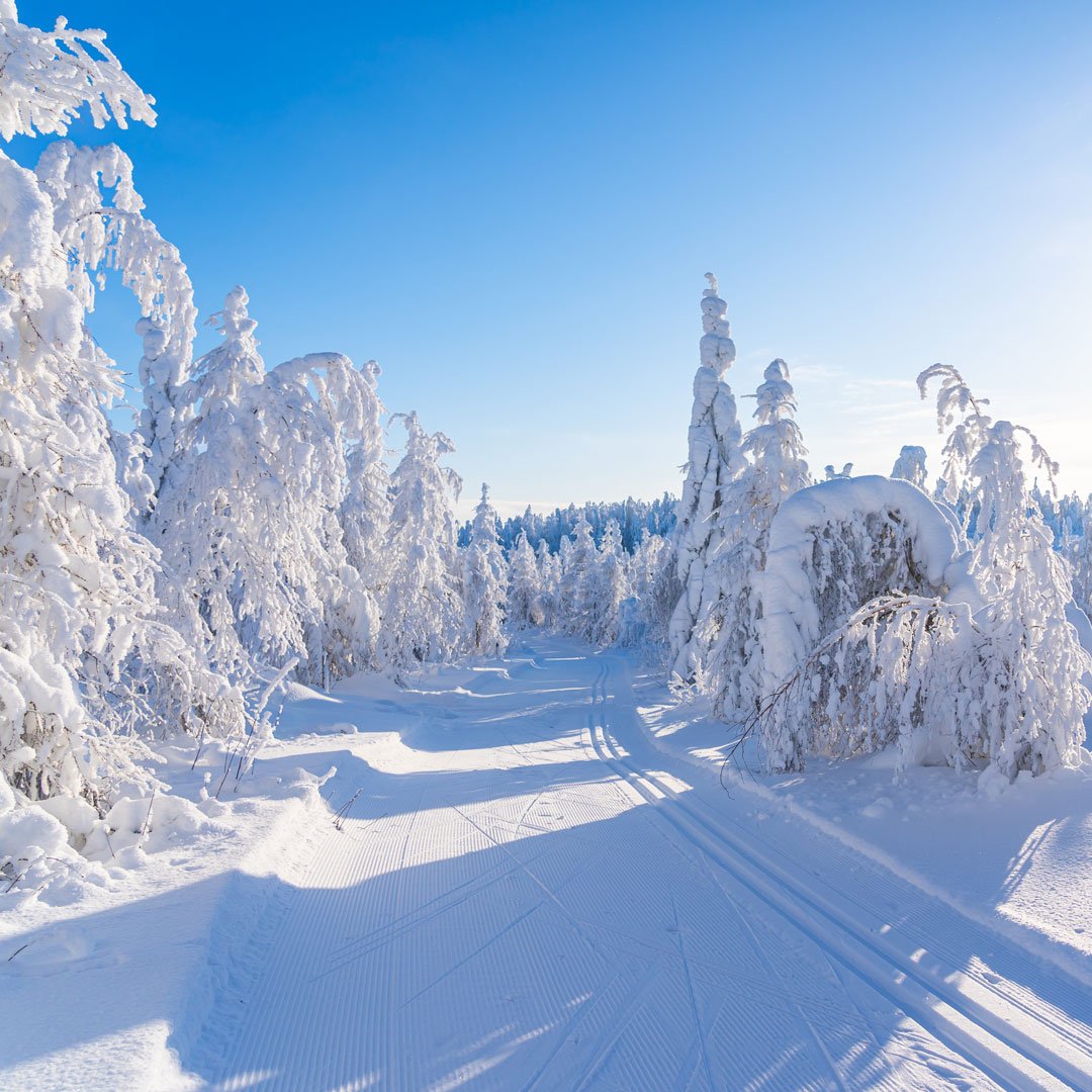 Cross-country skiing | Tahko