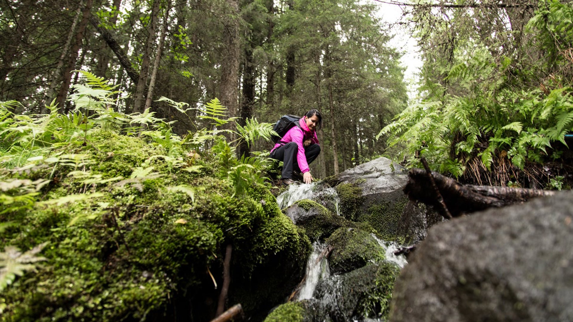Tahko │ Looking for adventures? - Tahkocom