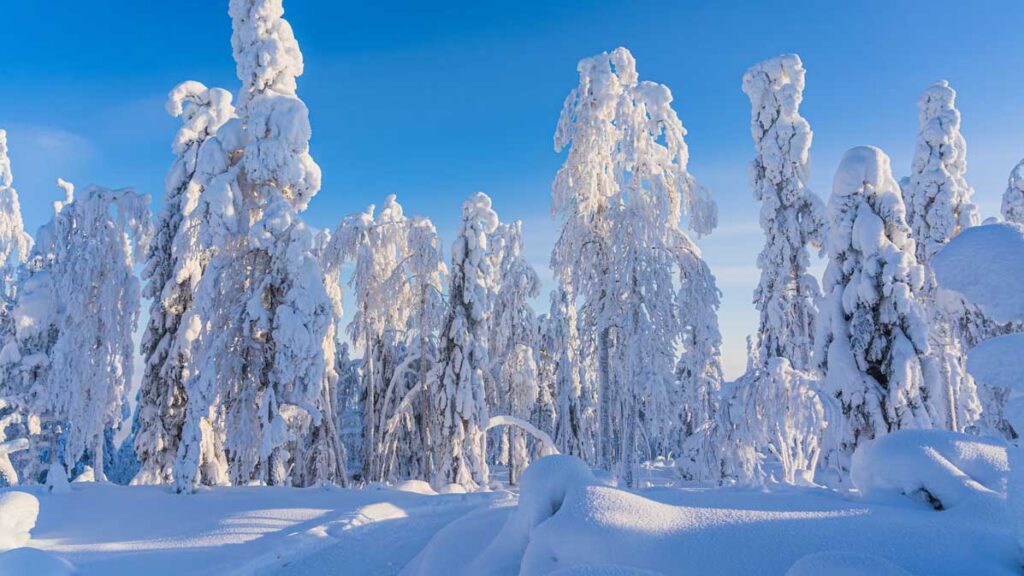 Tahko winter hiking routes